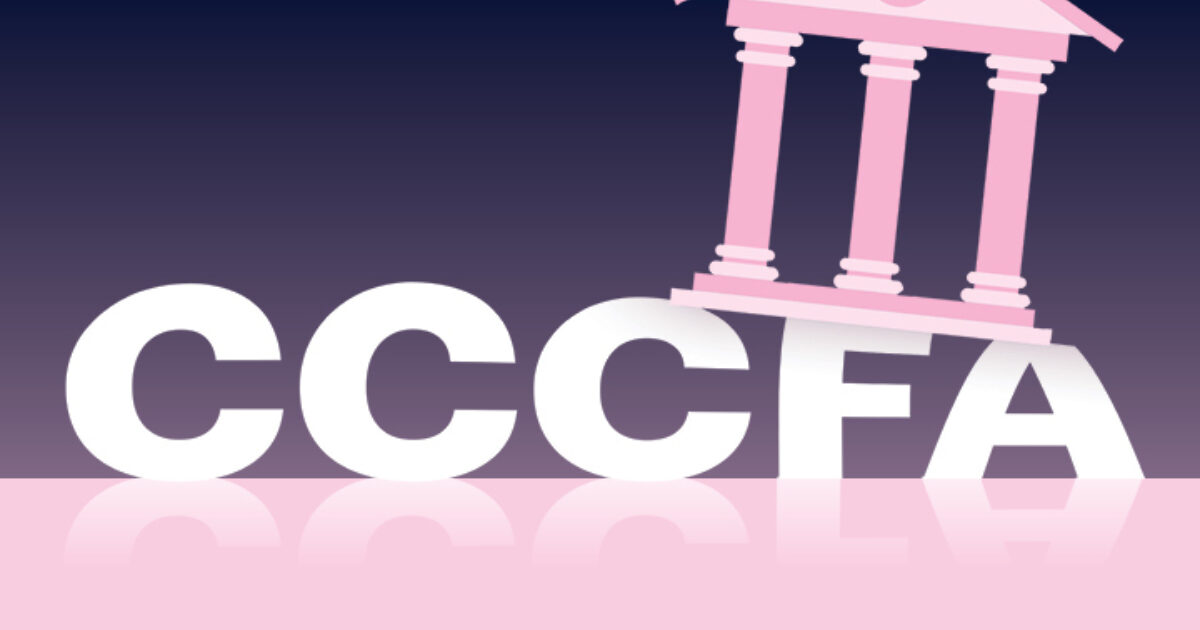 What's The CCCFA And How Do The Changes Affect You?… | Opes Partners