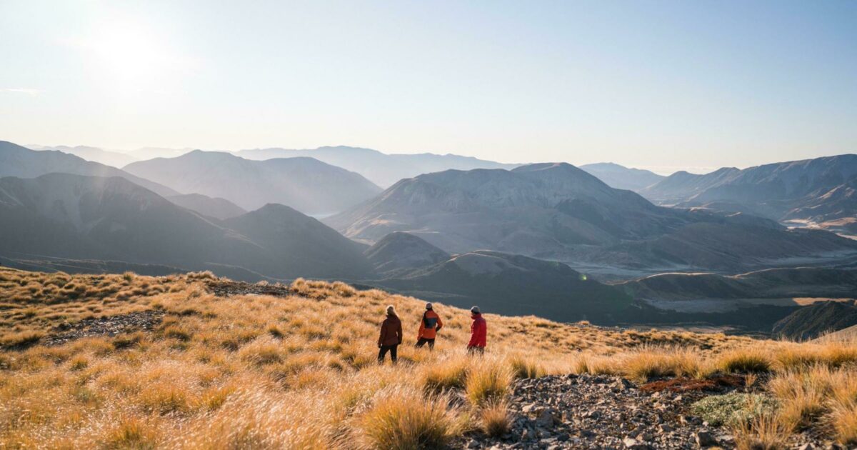 How are Selwyn District's house prices changing right… | Opes Partners