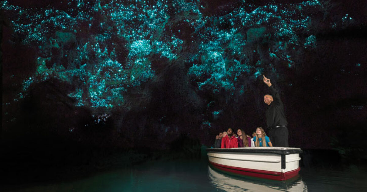 How are Waitomo District's house prices changing… | Opes Partners