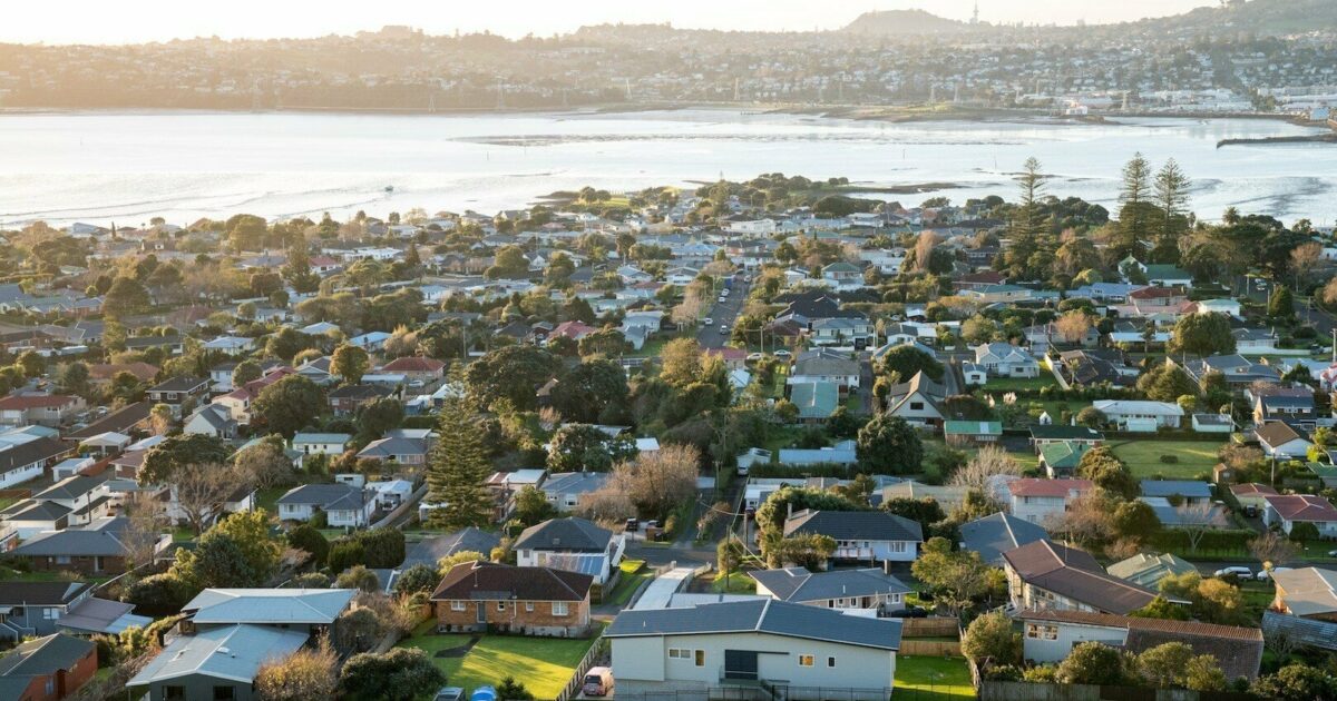 South Auckland - An Honest Review | Opes Partners